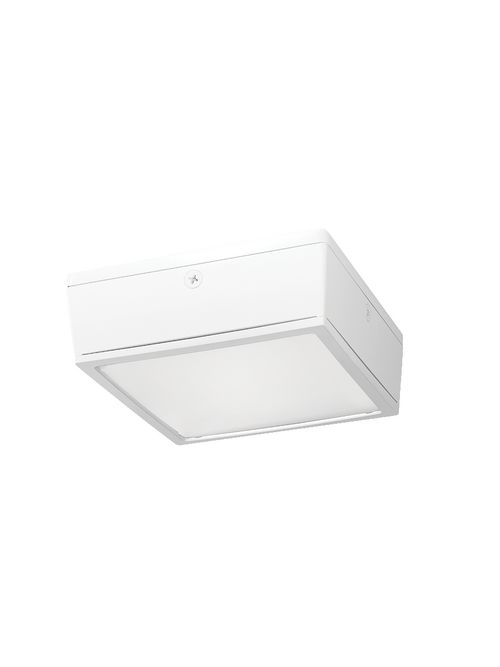 RAB VANLED40FW/D10 VNDLPRF CANOPY 4 | Cooper Electric